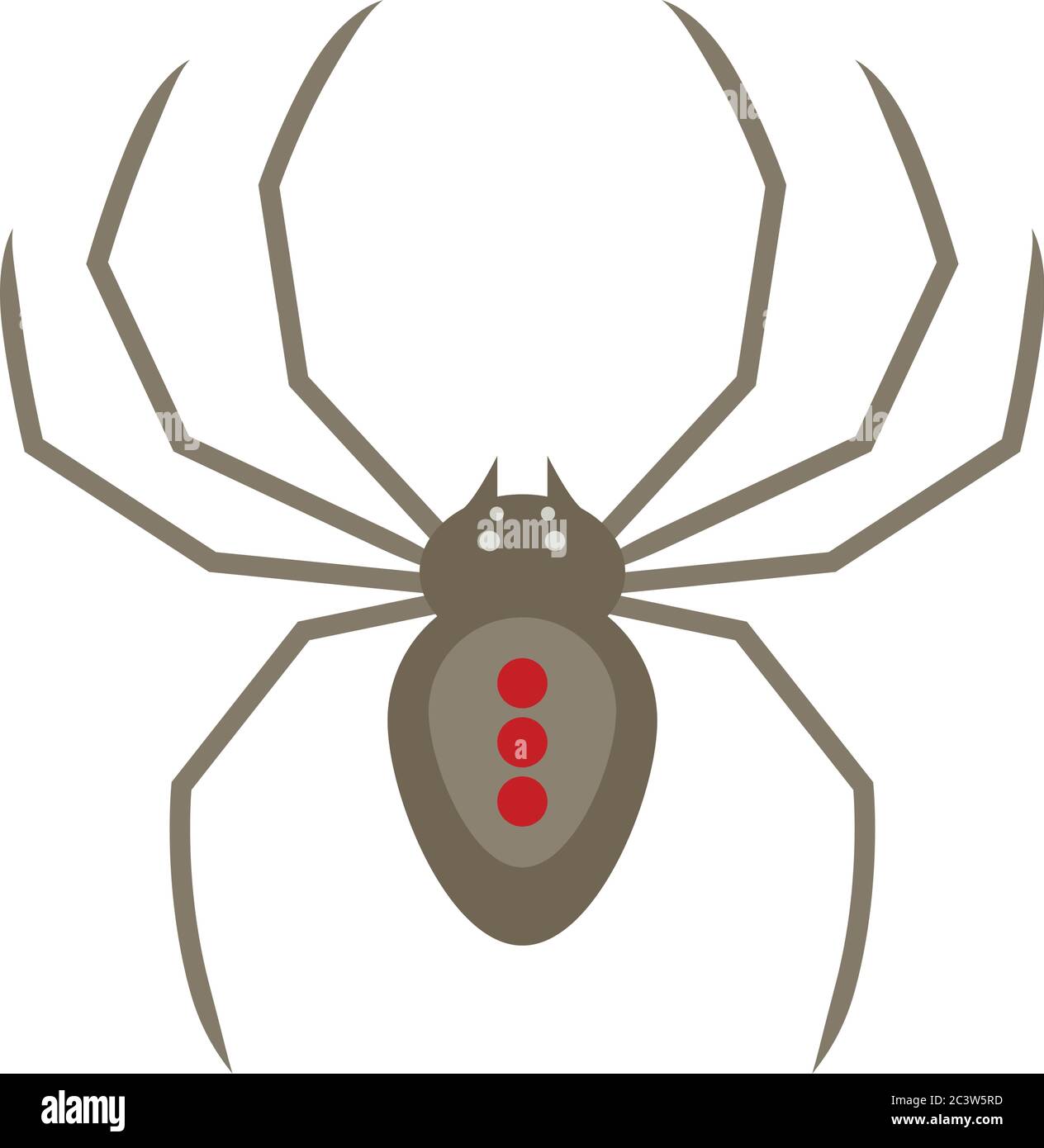 Vector flat style illustration of spider Stock Vector Image & Art - Alamy