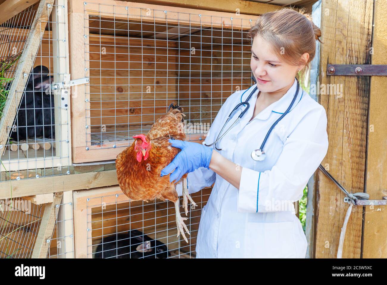 Happy young veterinarian woman with stethoscope holding and examining ...