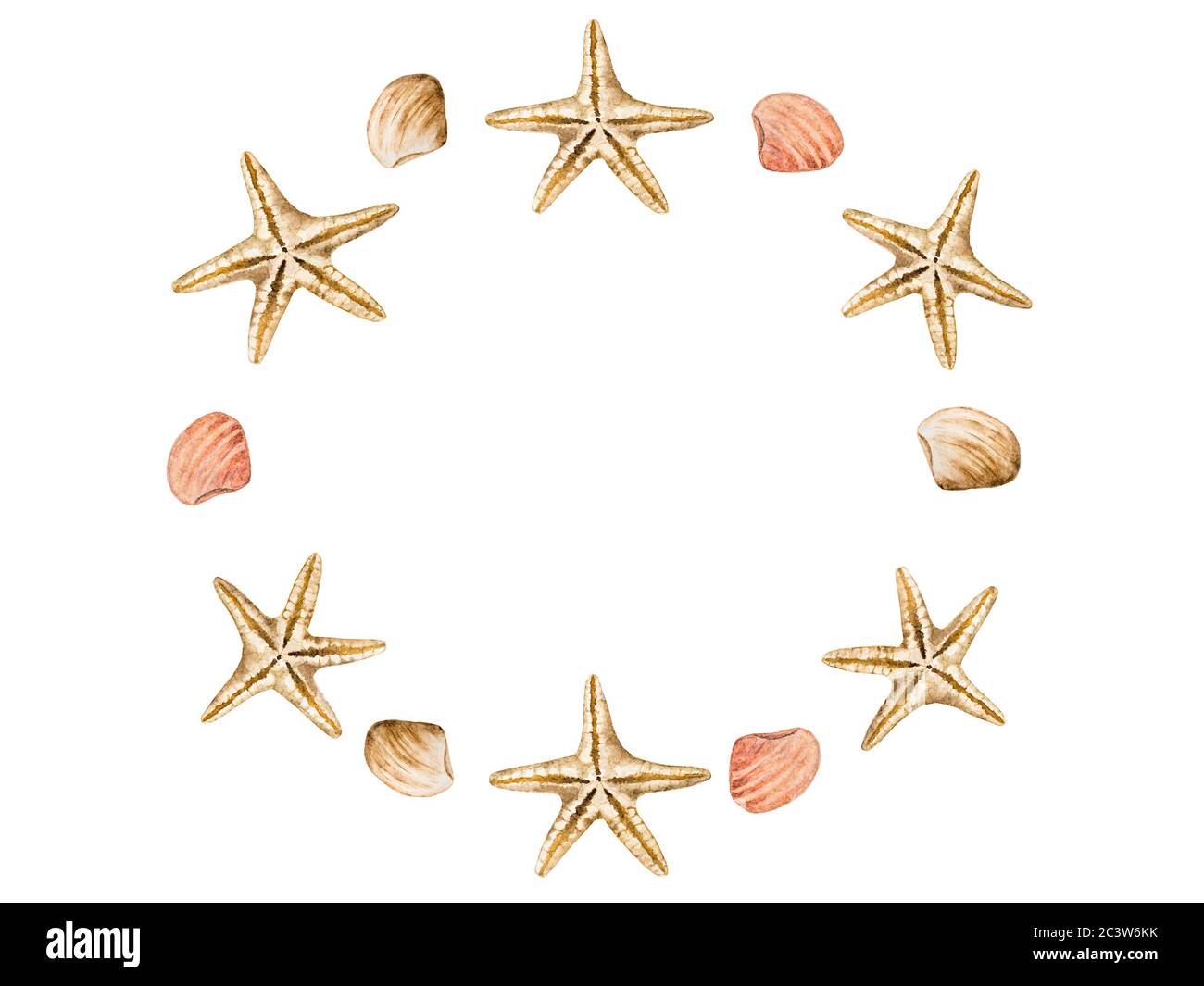 Drawing starfish and shells. Beautiful card. Close-up Stock Photo - Alamy