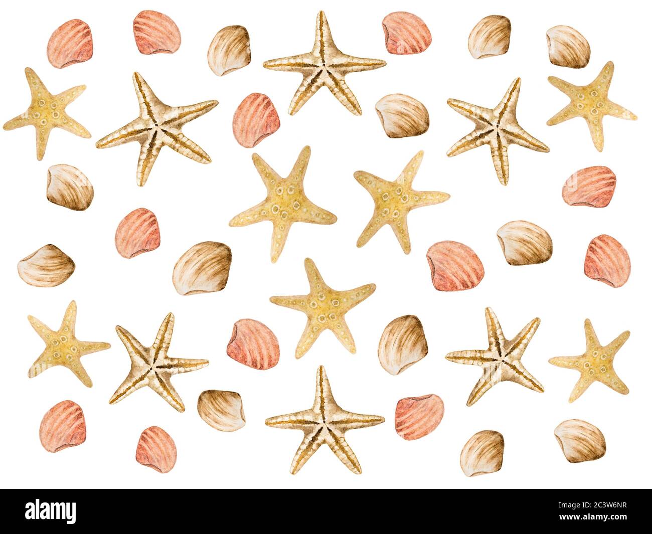 Drawing starfish and shells. Beautiful card. Close-up Stock Photo - Alamy