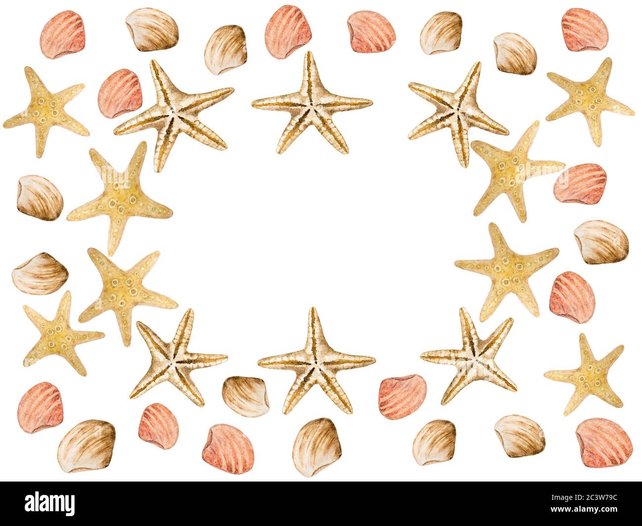 Drawing starfish and shells. Beautiful card. Close-up Stock Photo - Alamy