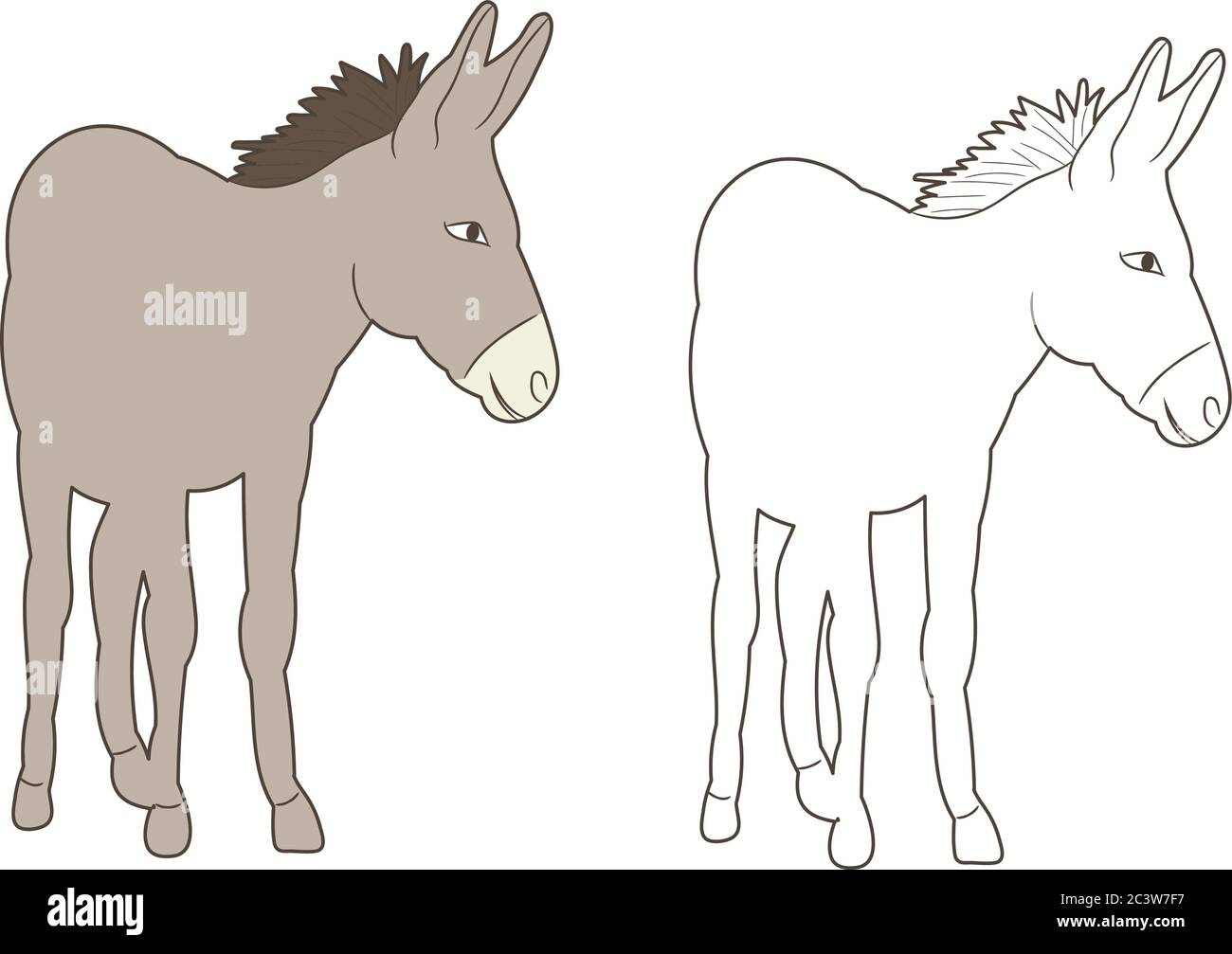 vector isolated donkey drawing Stock Vector Image & Art - Alamy
