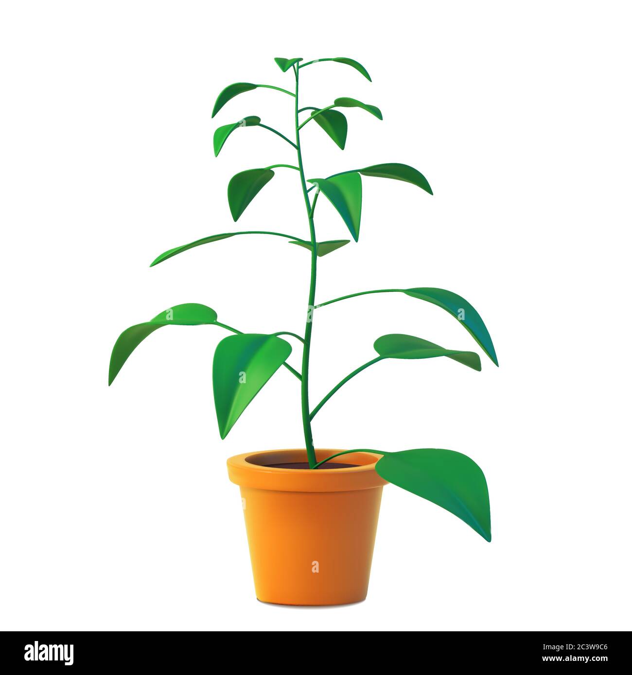 Indoor tree plant in Stock Vector Images - Alamy