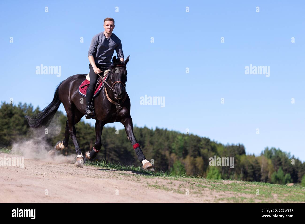 Beautiful man riding a horse on field at summer Stock Photo - Alamy