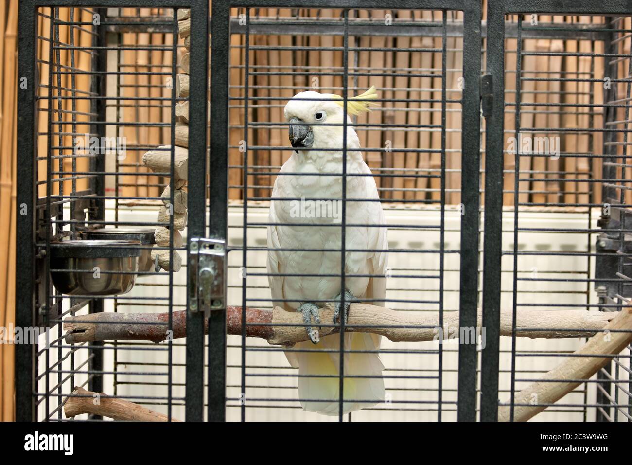 Big bird cage hi-res stock photography and images - Alamy