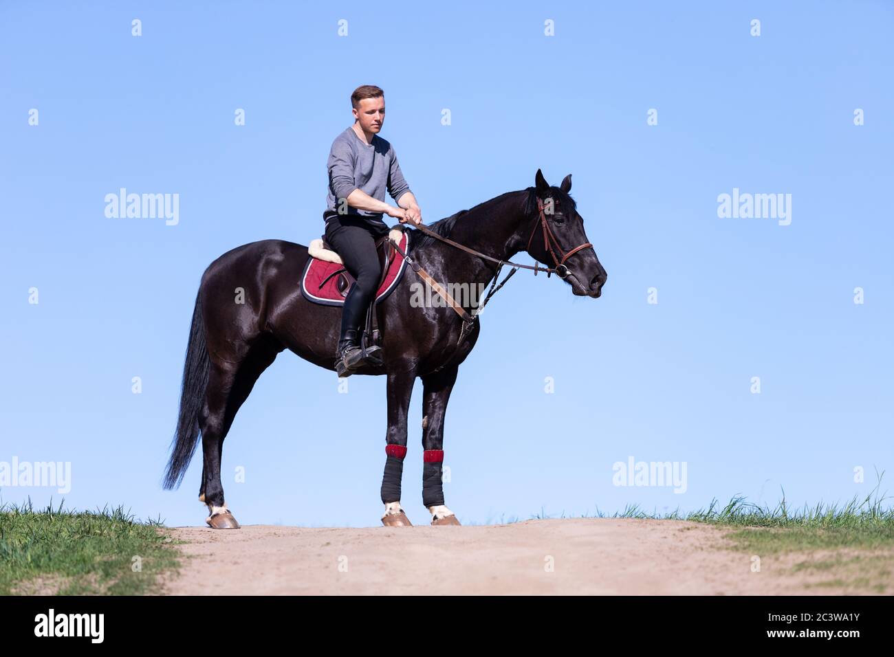 Beautiful man riding a horse on field at summer Stock Photo - Alamy