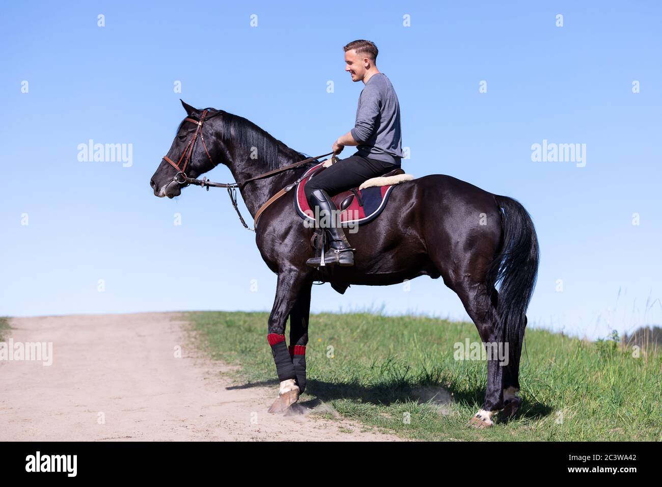 Beautiful man riding a horse on field at summer Stock Photo - Alamy