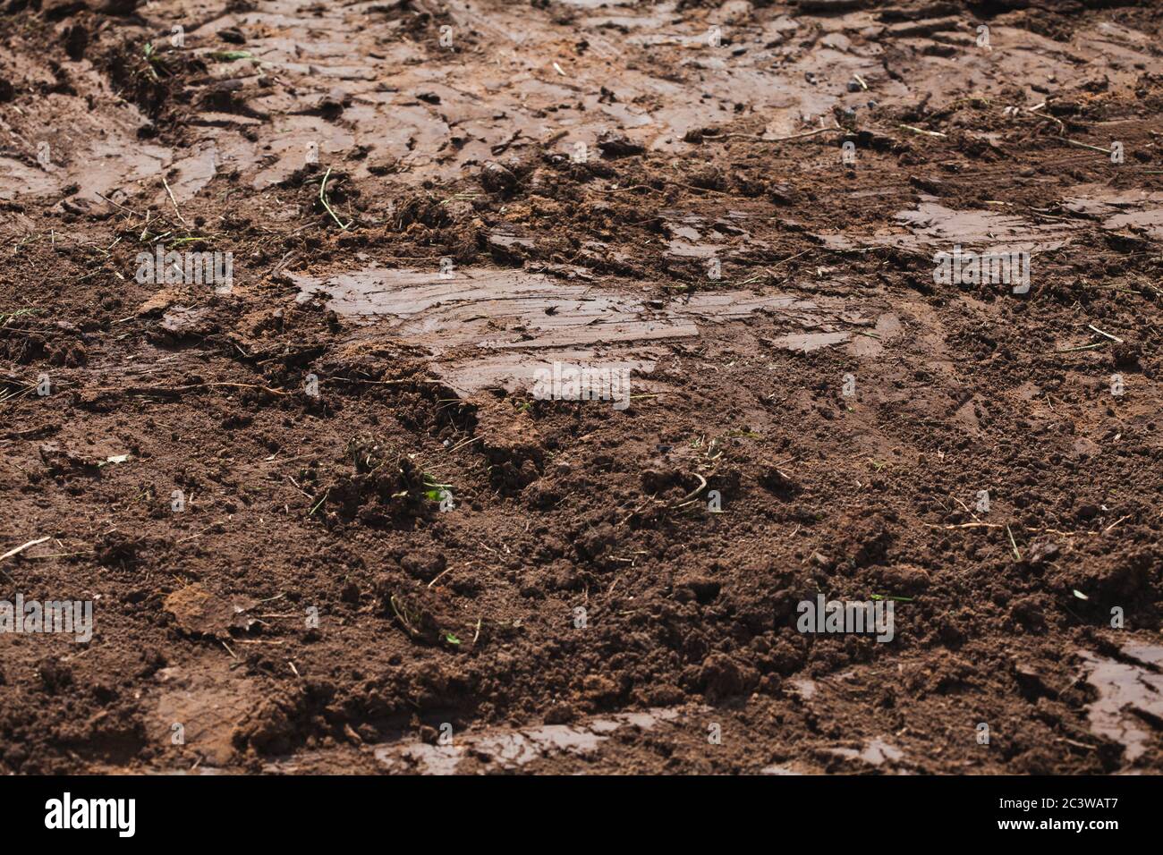 Ground texture hi-res stock photography and images - Alamy