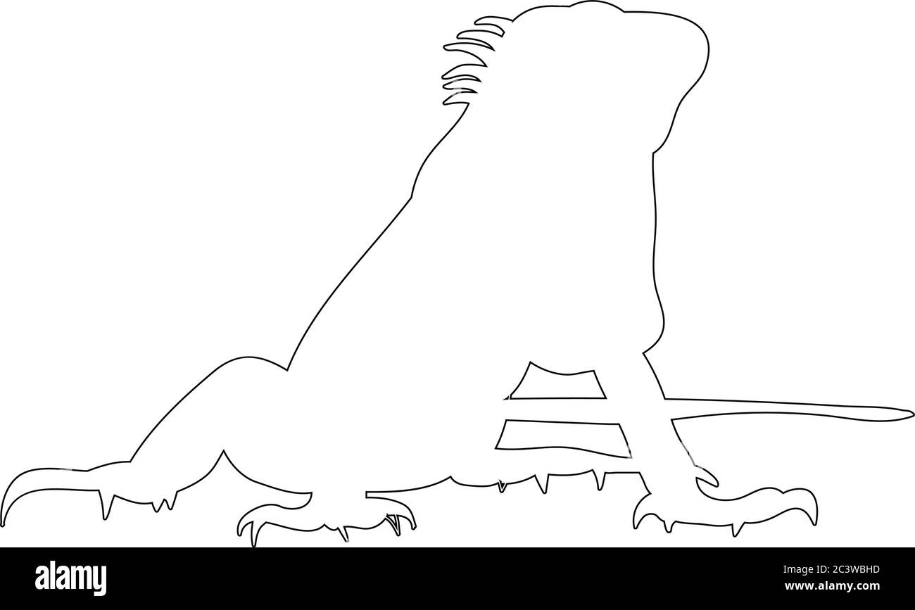 vector, isolated, outline of a lizard on a white background Stock ...