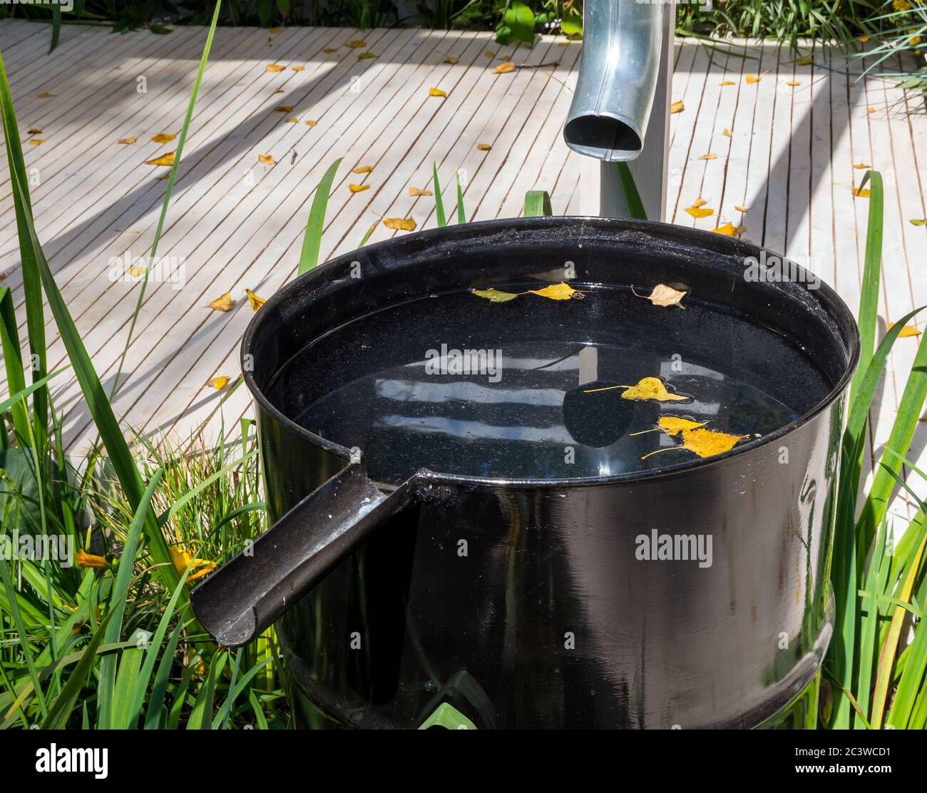 Barrel for rainwater with a drain gutter Stock Photo - Alamy
