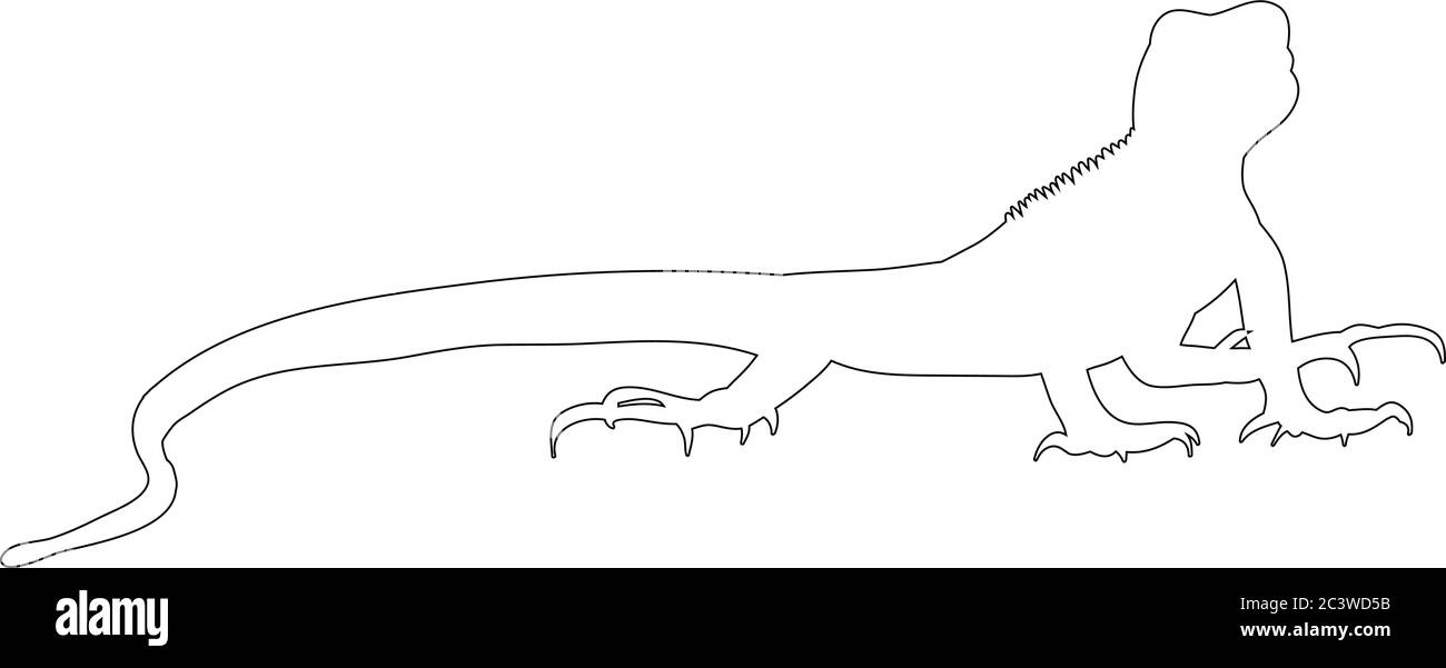 isolated, outline of a lizard on a white background Stock Vector Image ...