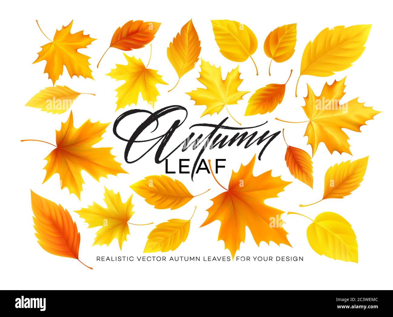 Autumn leaves pattern on Stock Vector Images - Alamy