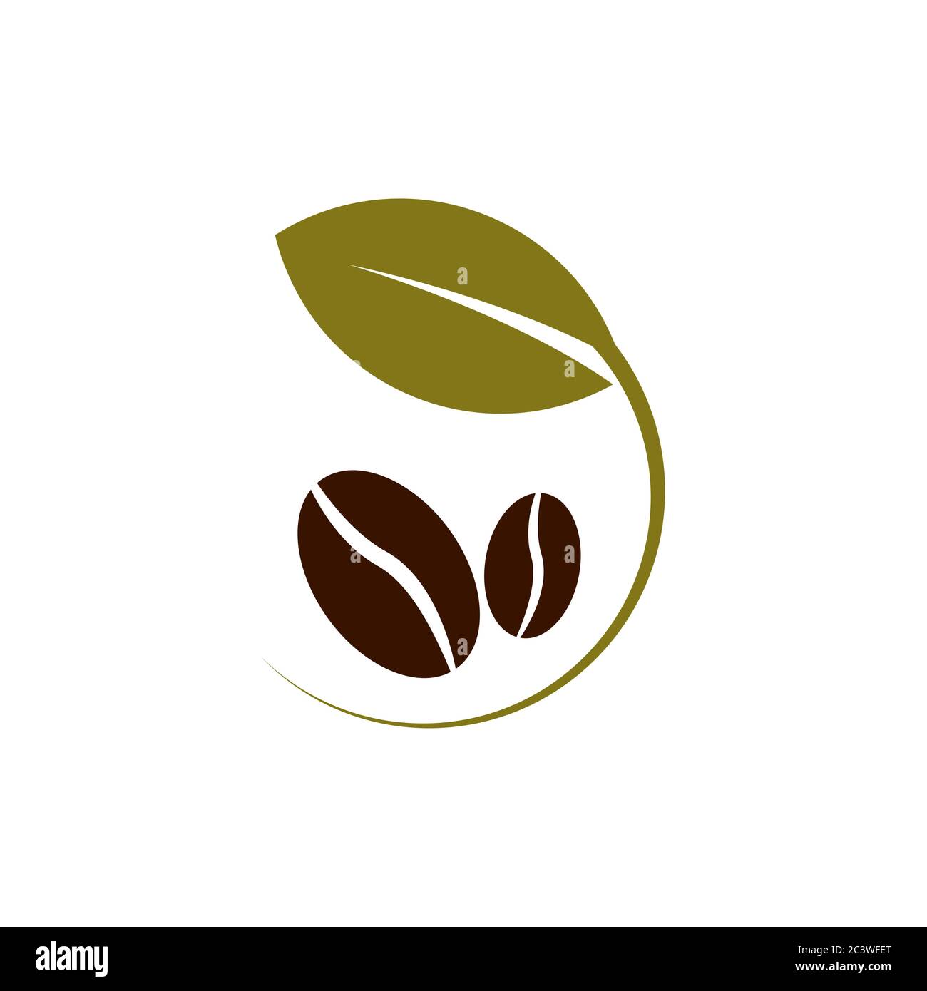 Coffee Bean Plant Vector