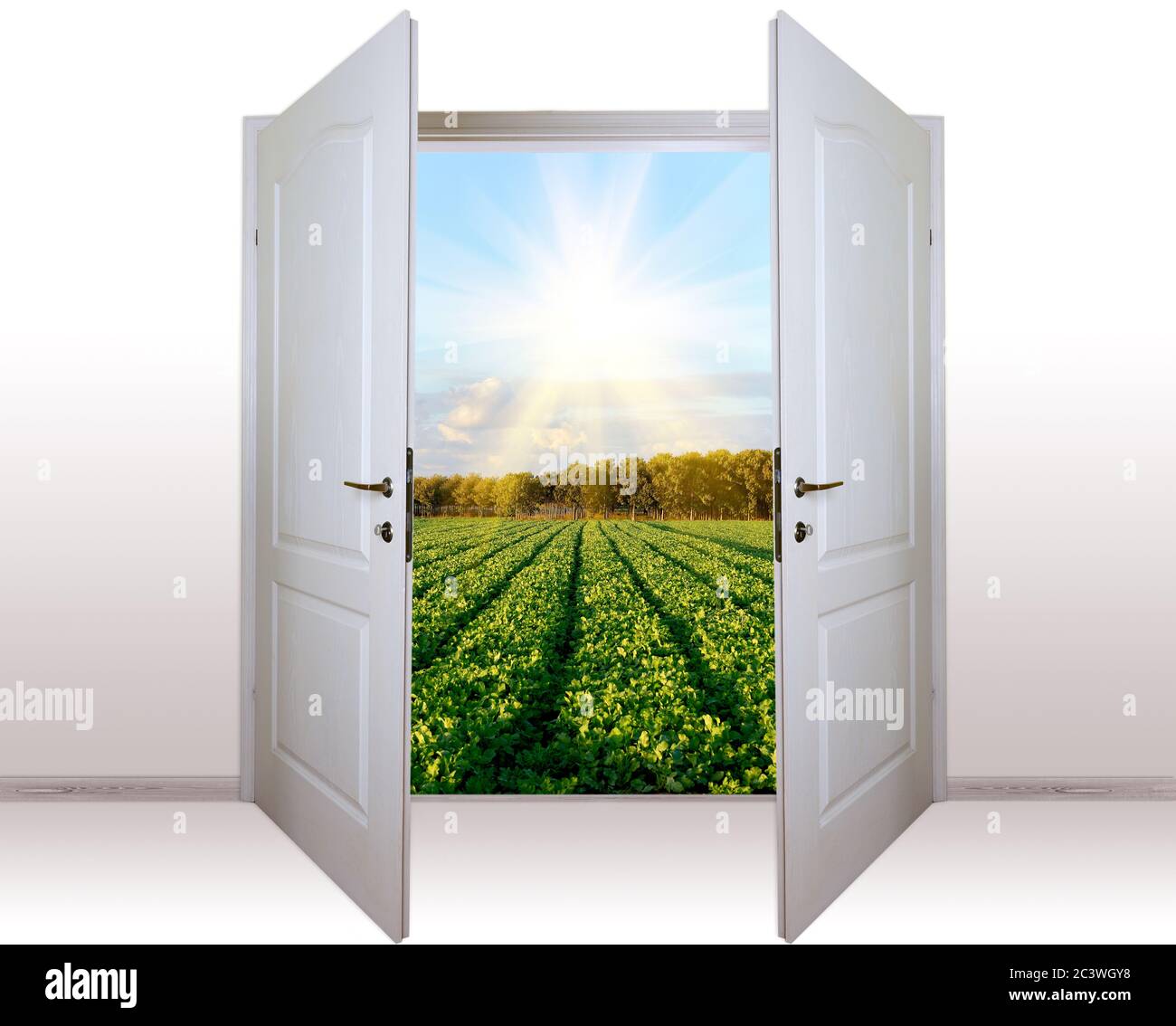 Through open door hi-res stock photography and images - Alamy