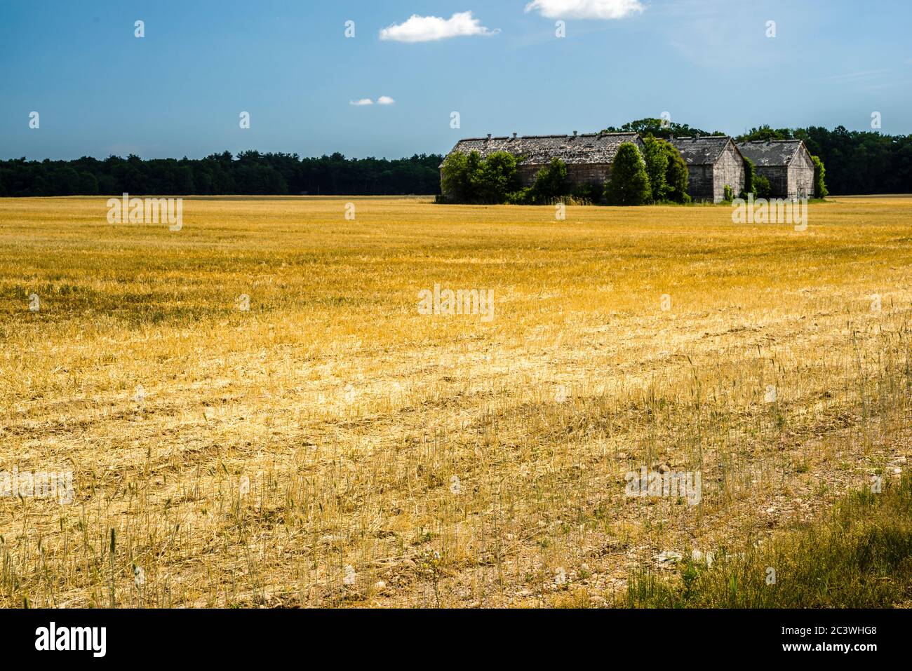 Three Barns and Field Simsbury, Connecticut, USA Stock Photo - Alamy