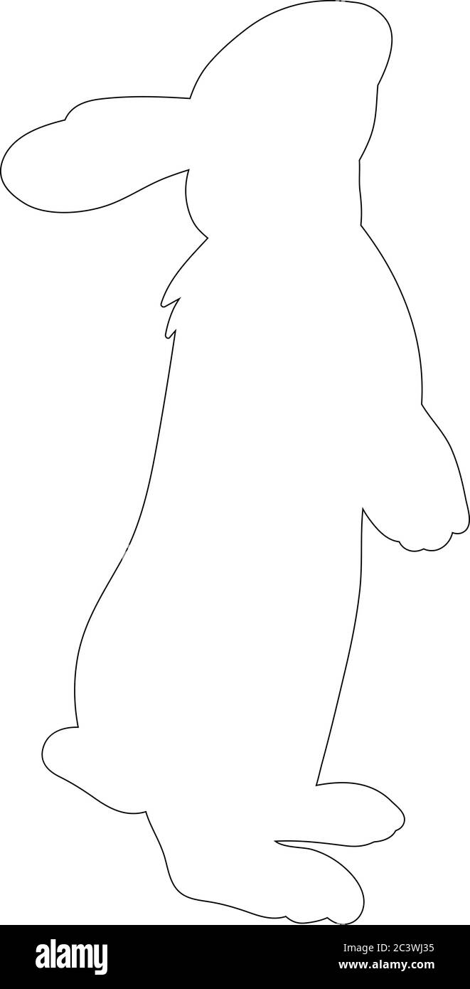 isolated contour bunny Stock Vector Image & Art - Alamy