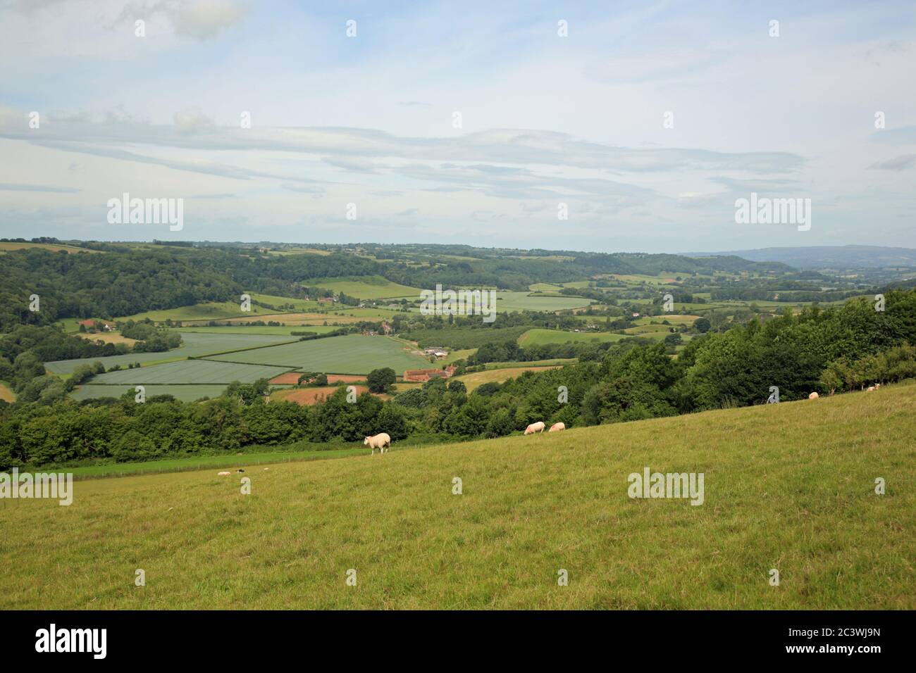 River teme worcestershire hi-res stock photography and images - Alamy