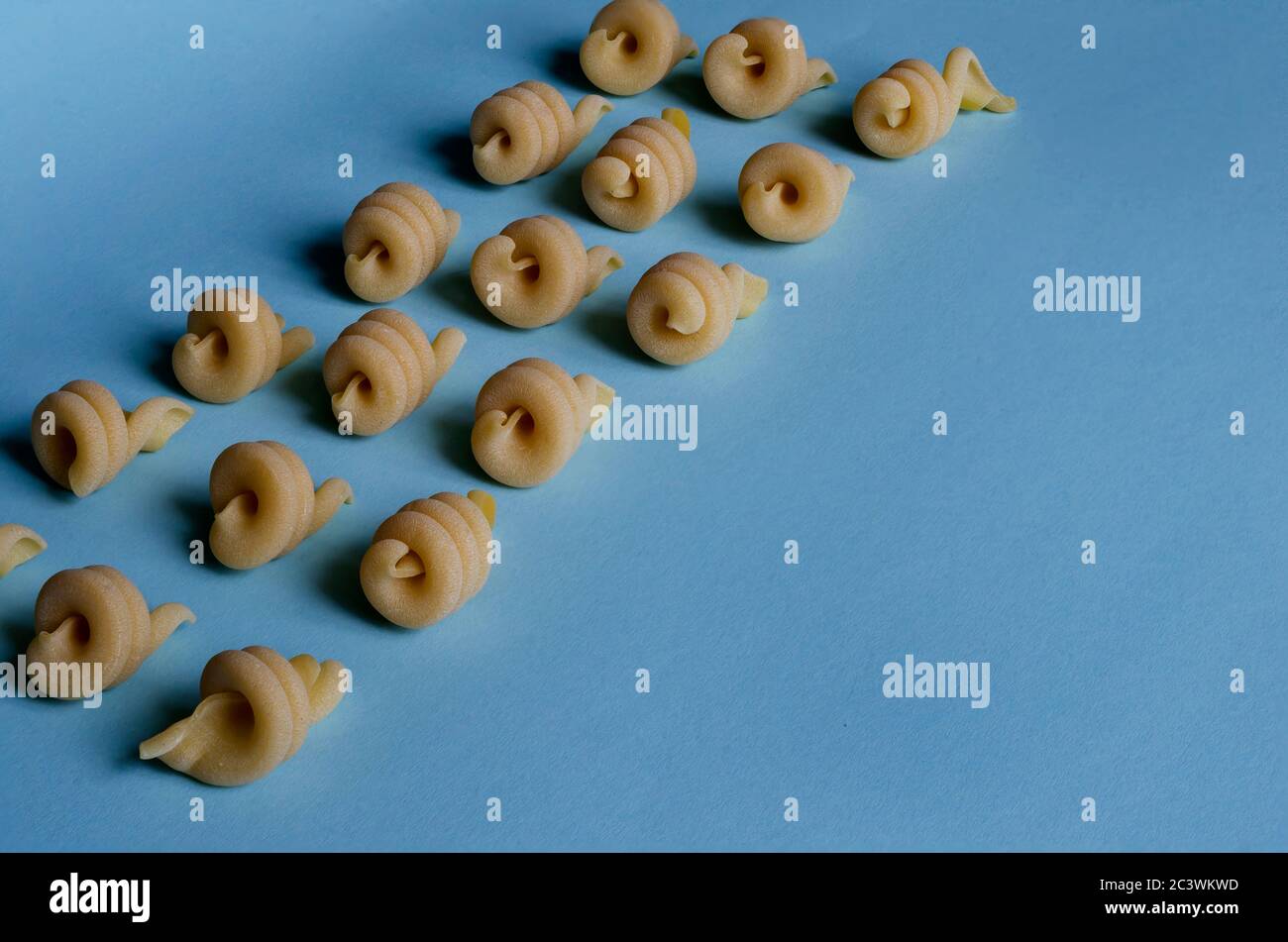 Creative background with insalatonde pasta on a light blue background ...