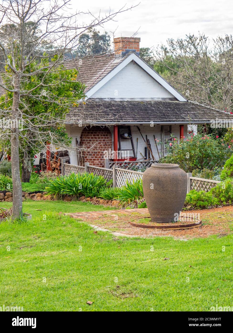 Australian tree in pot hi-res stock photography and images - Alamy