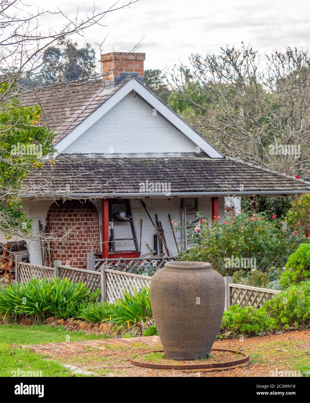 Australian tree in pot hi-res stock photography and images - Alamy