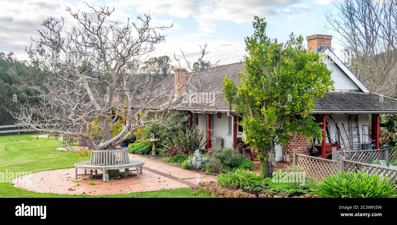 Rustic heritage farmhouse with circular wooden tree bench in yard ...