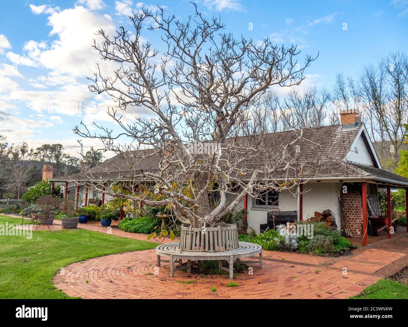 Rustic heritage farmhouse with circular wooden tree bench in yard ...