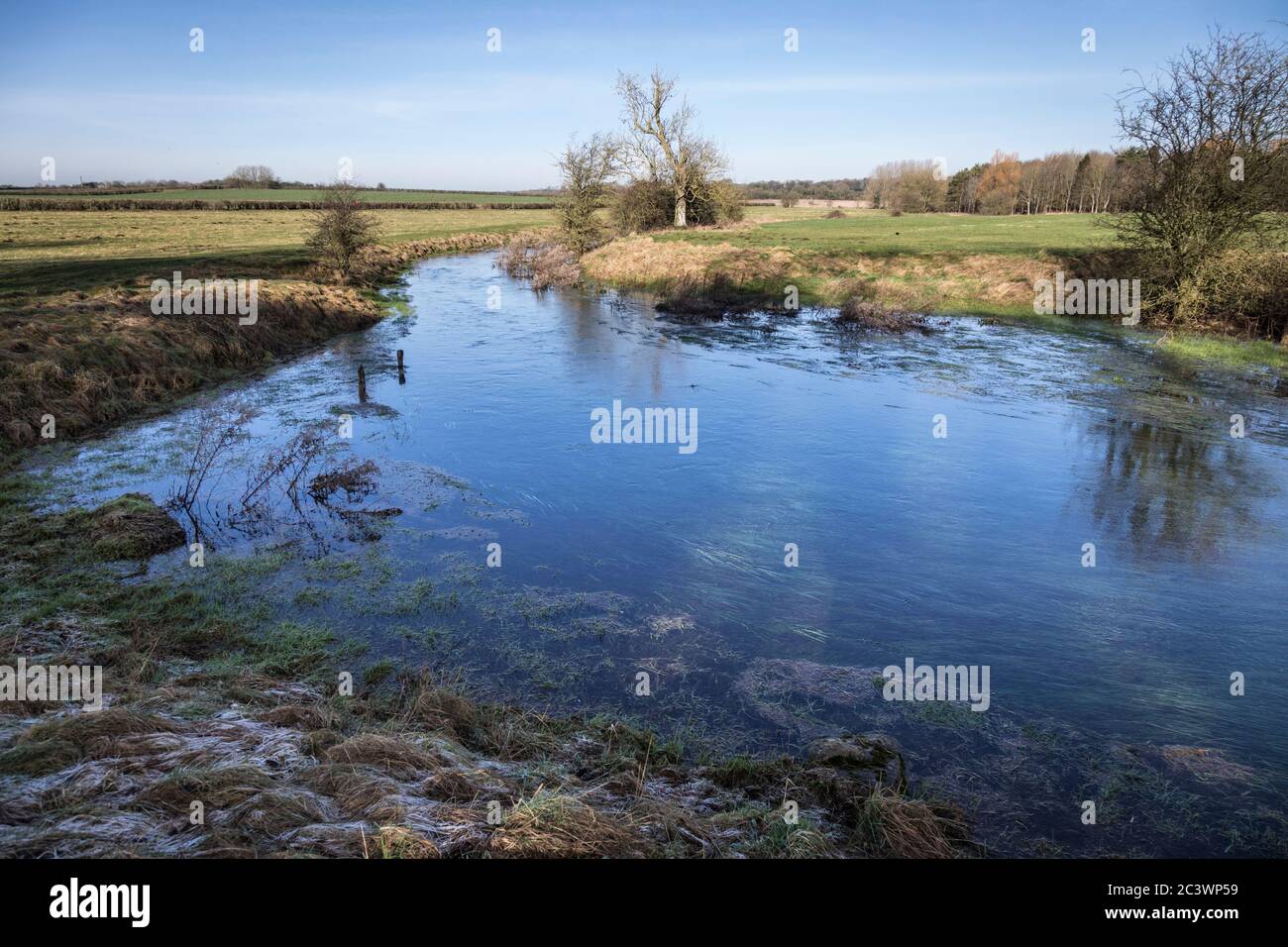 The very young River Thames, just down stream from the source near ...