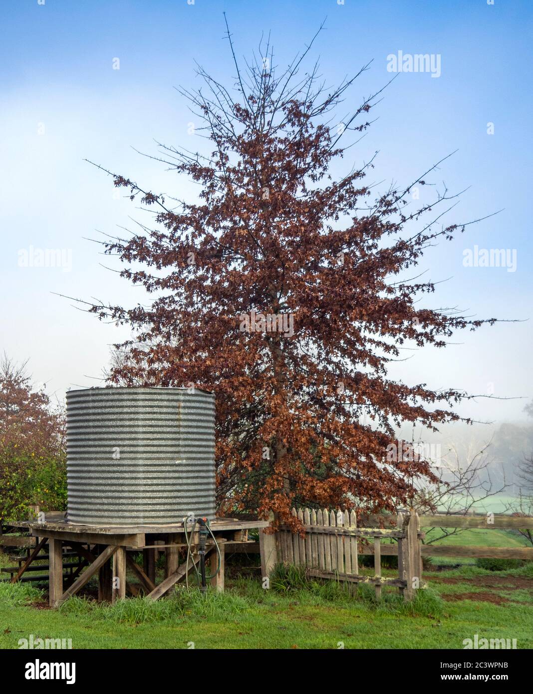Rainwater tank hi-res stock photography and images - Alamy