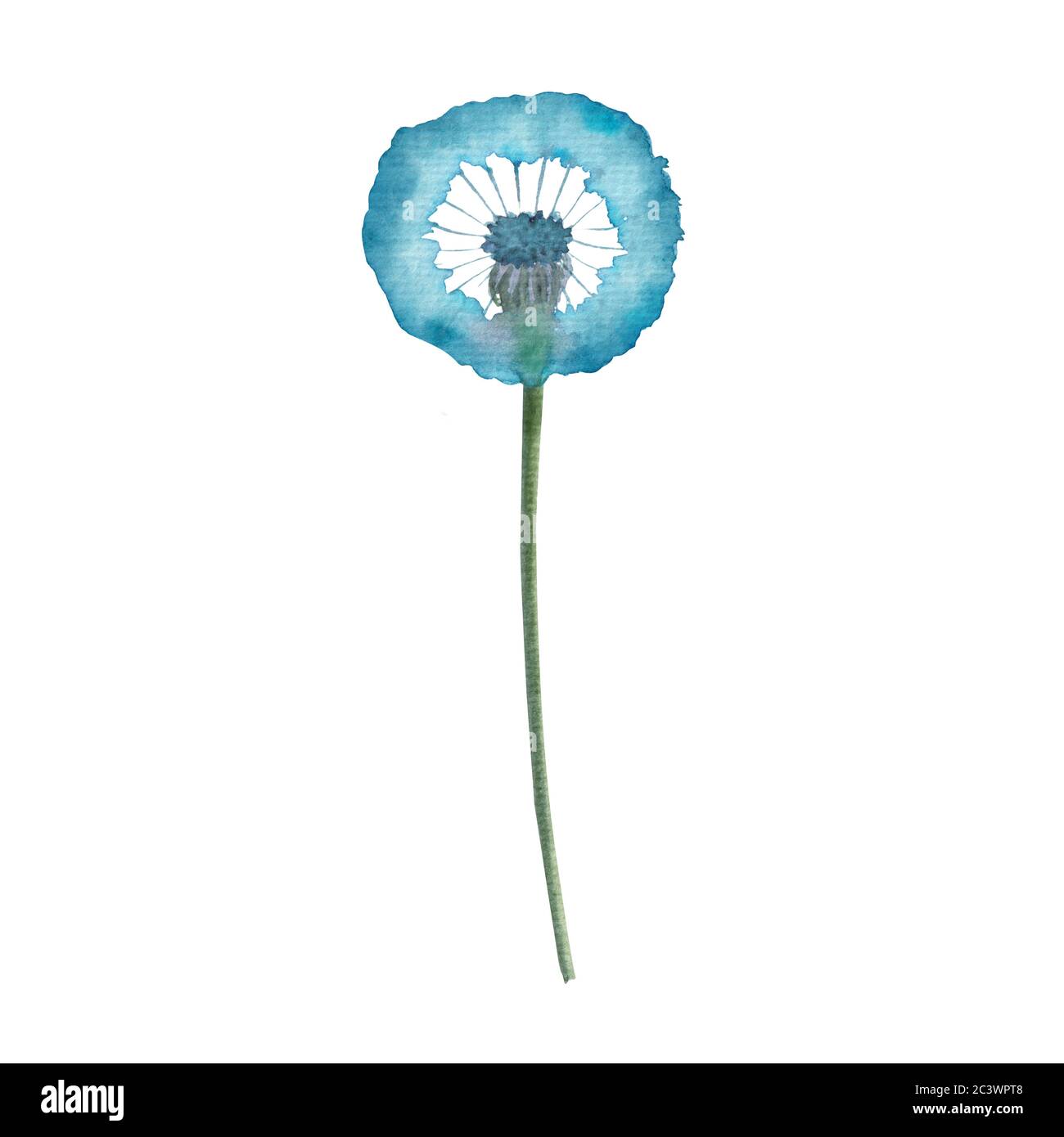 Fluffy seed on hand Cut Out Stock Images & Pictures - Alamy