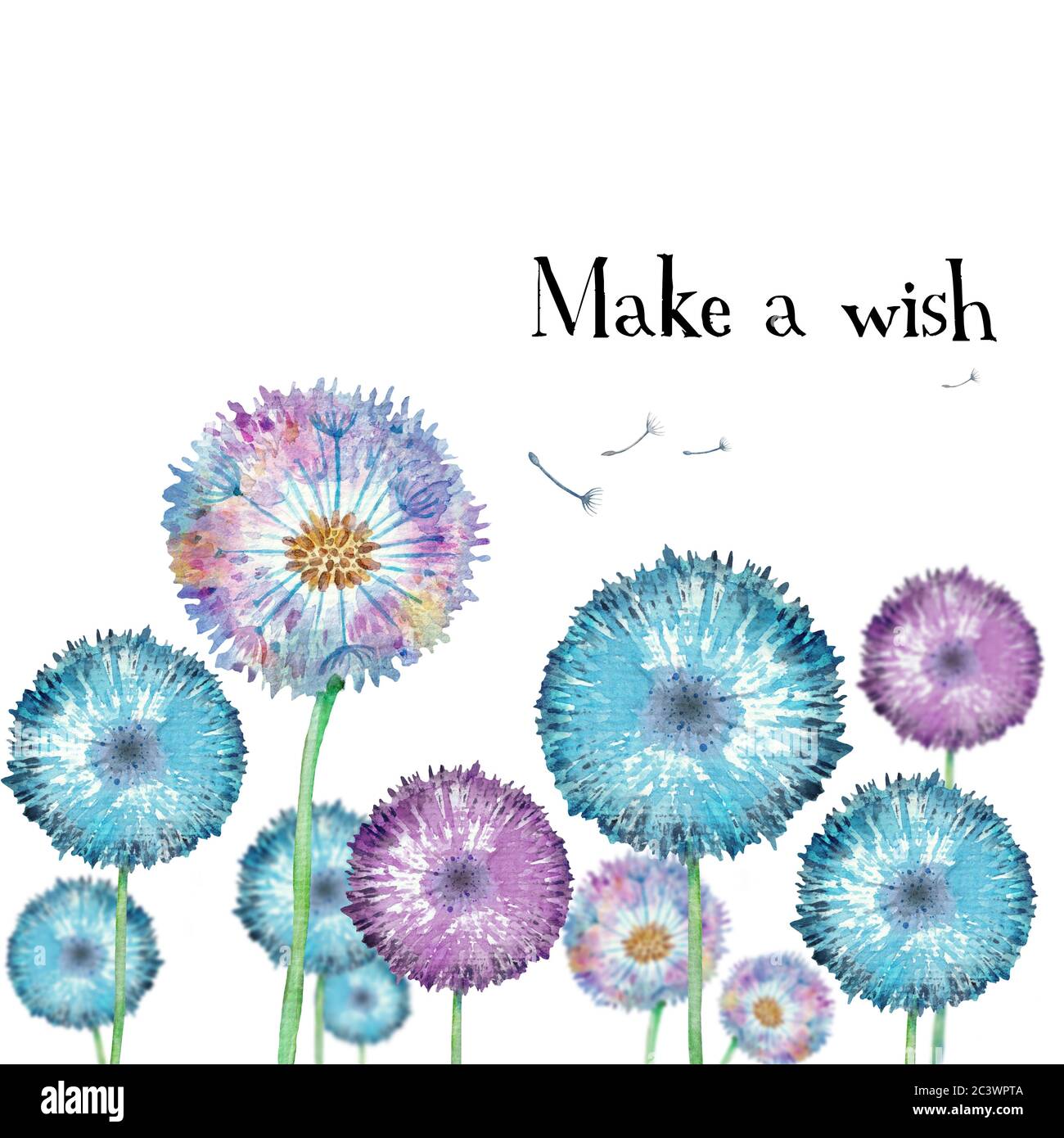 Dandelion Make A Wish