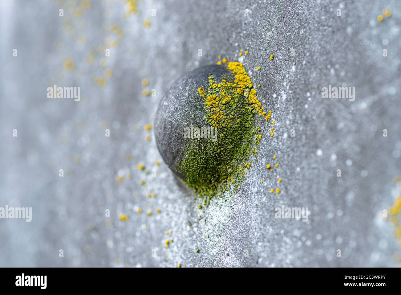 Mold railway hi-res stock photography and images - Alamy