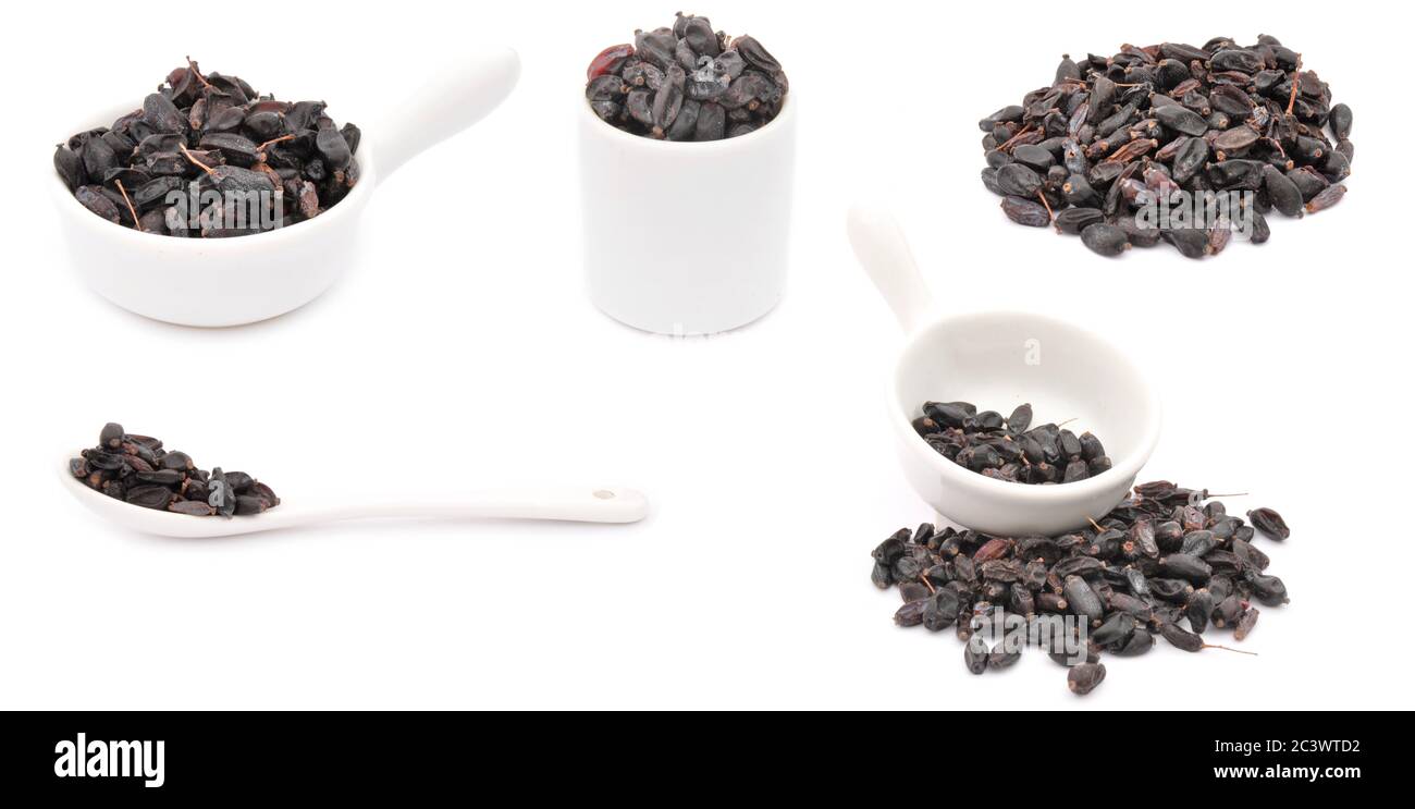 Berberis, barberry seeds Stock Photo - Alamy