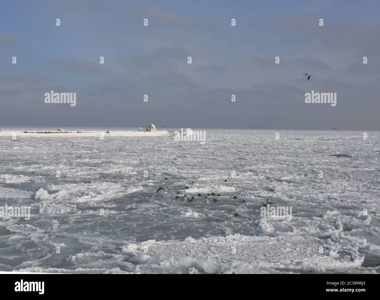 Icy pier hi-res stock photography and images - Alamy