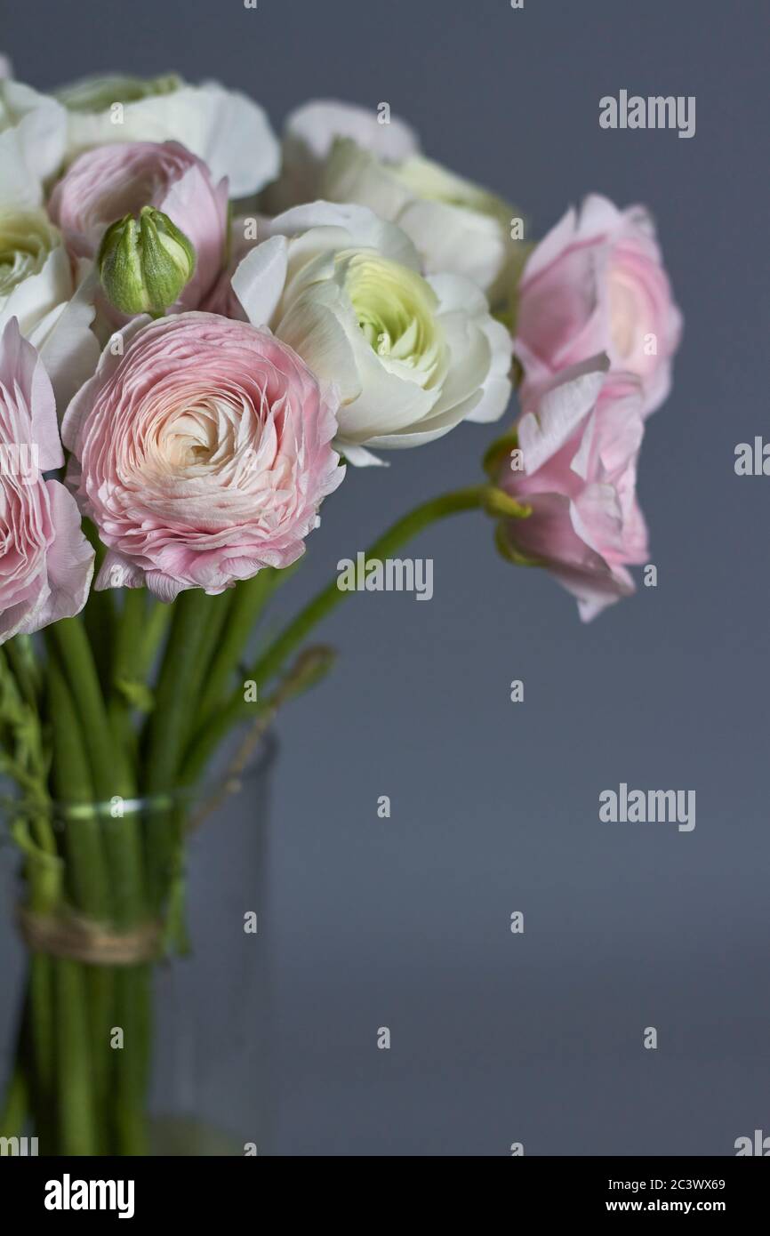 Japanese Buttercup High Resolution Stock Photography and Images - Alamy