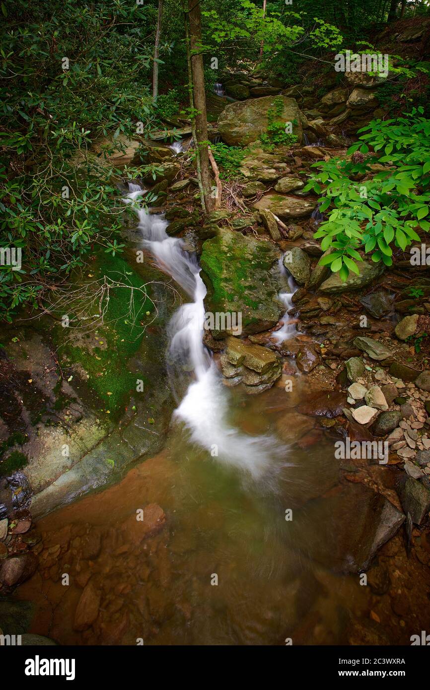 Small waterfall in Pisgah National Forest, NC Stock Photo - Alamy