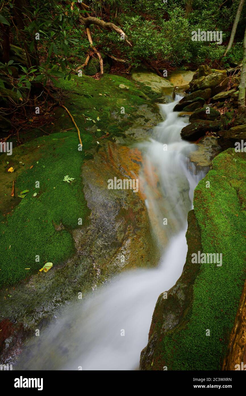 Waterfall flowing through a narrow moss covered rock channel Stock ...