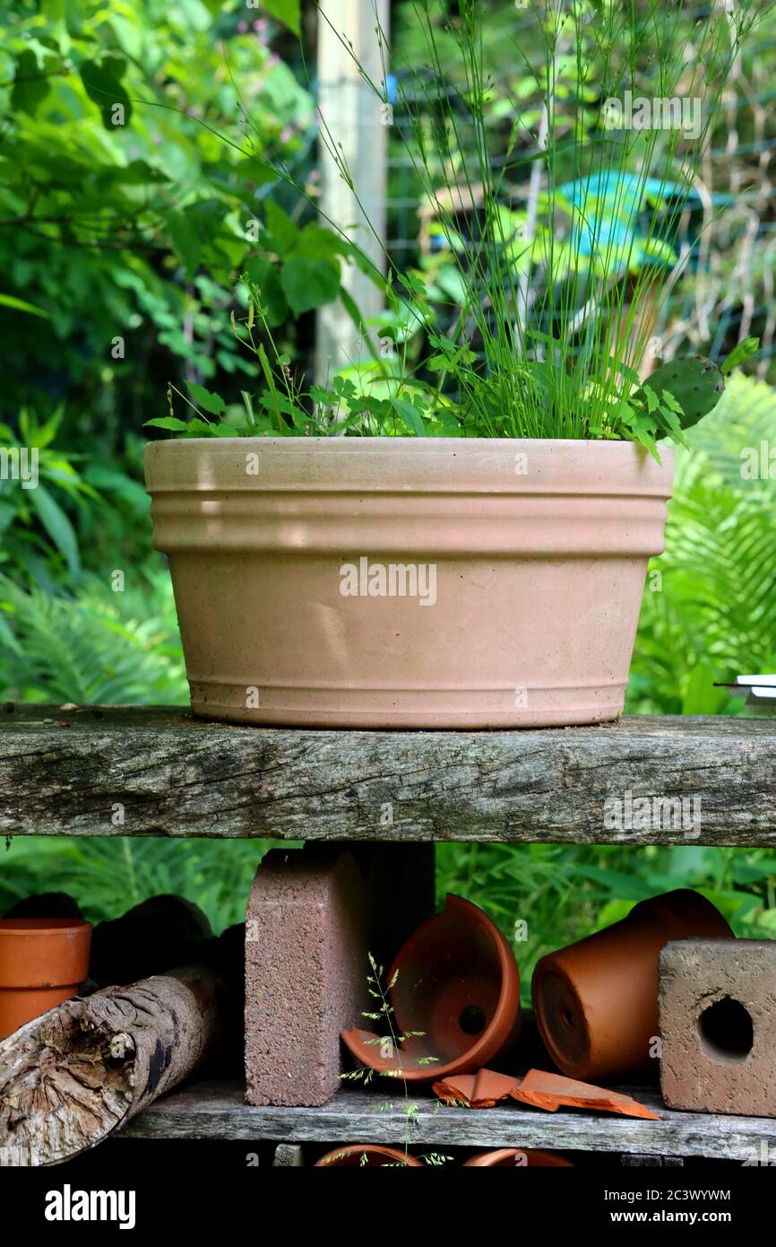 Broken shelf hi-res stock photography and images - Alamy