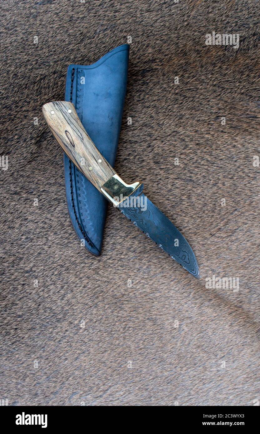 A whitetail deer hide is used as the background to display a pretty ...