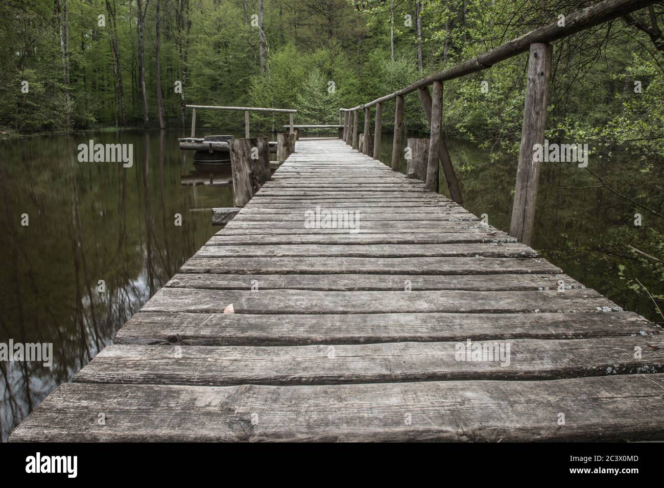 wooden bridge in the woods Stock Photo - Alamy