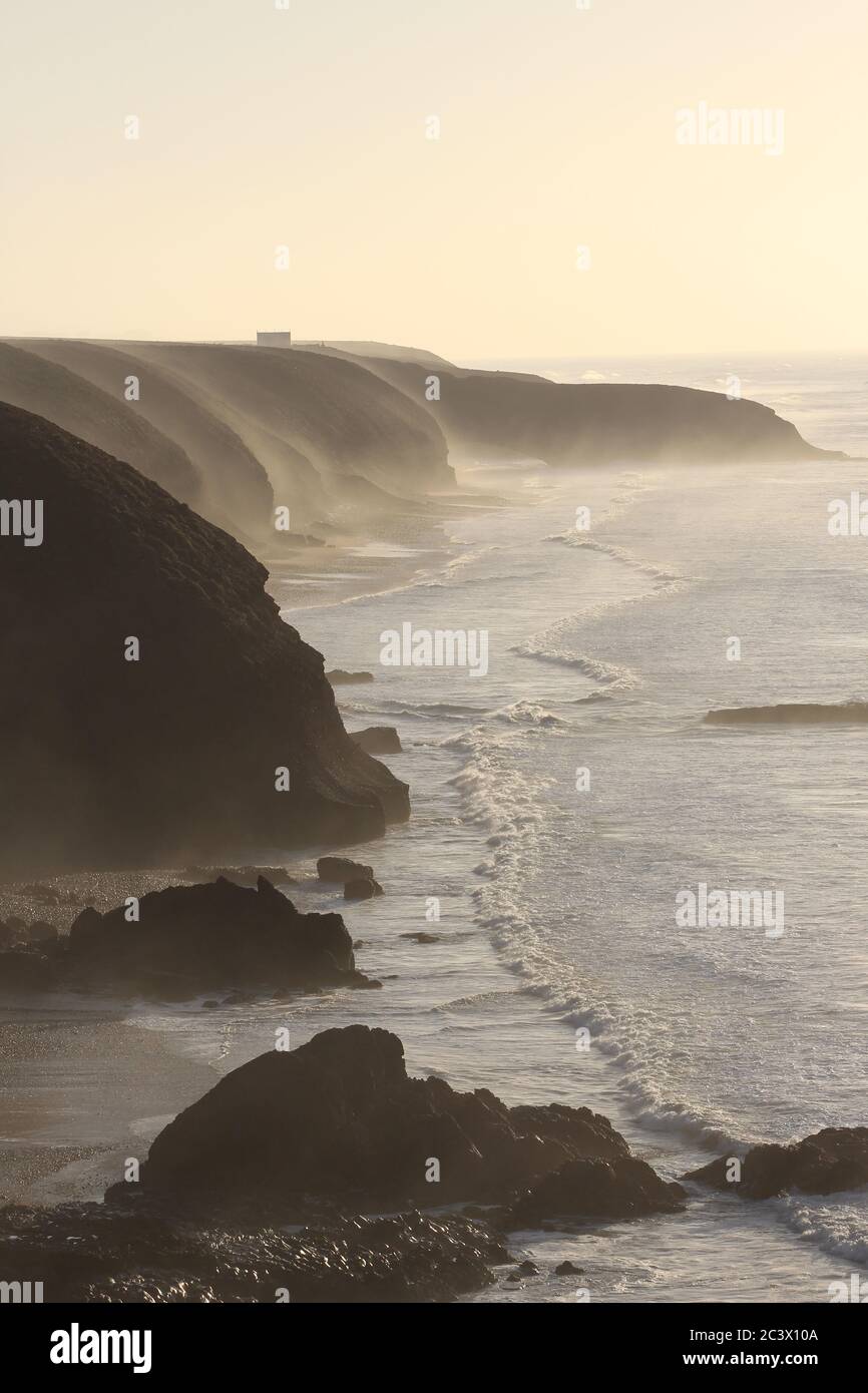 Desert orchid hi-res stock photography and images - Alamy