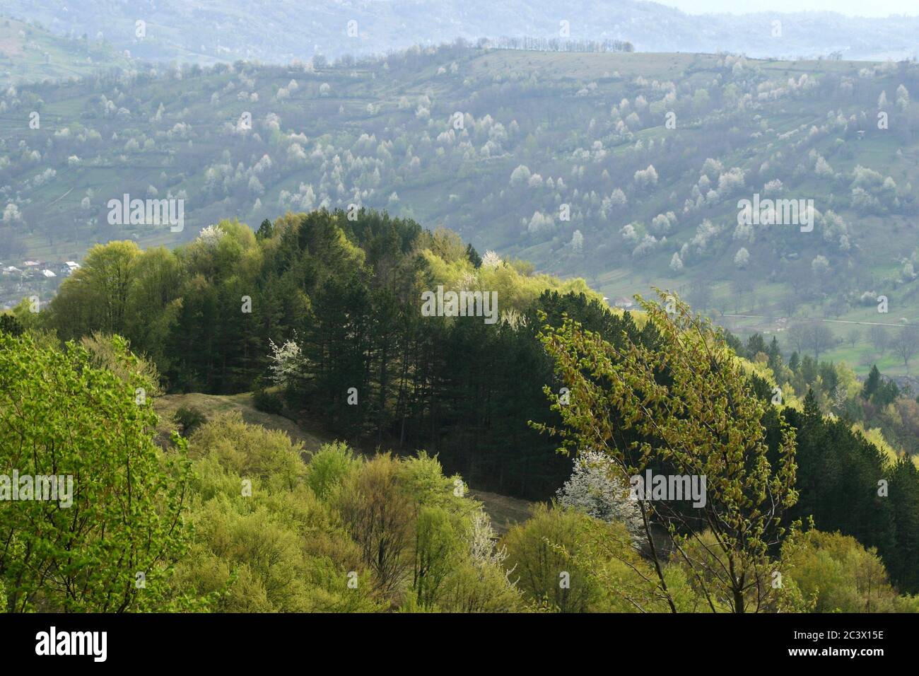 Spring landscape in Vrancea County, Romania Stock Photo - Alamy