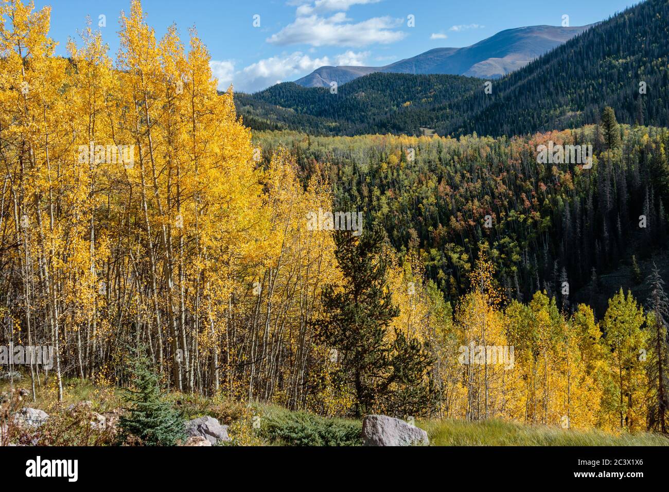 Creede Colorado High Resolution Stock Photography and Images - Alamy