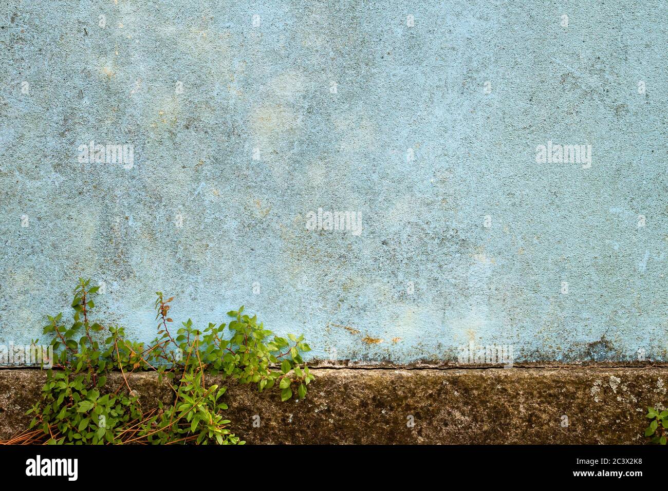 Old blue wall Stock Photo - Alamy