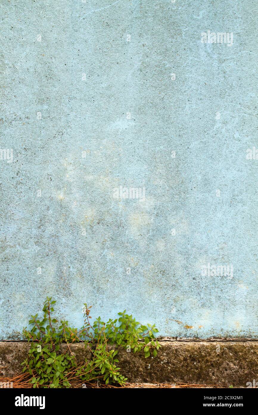 Old blue wall Stock Photo - Alamy