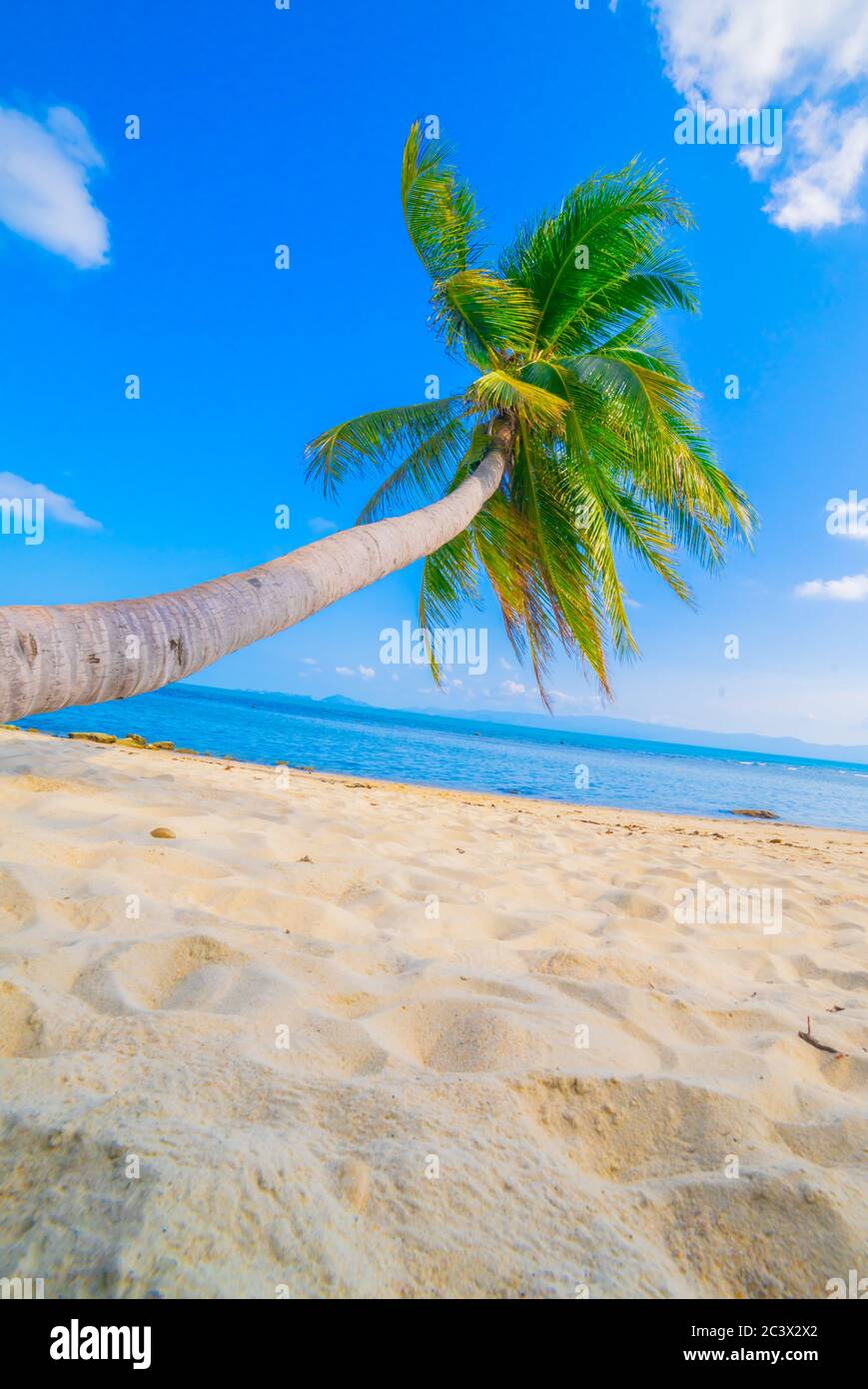 Beautiful beach. View of nice tropical beach with palms around. Holiday ...