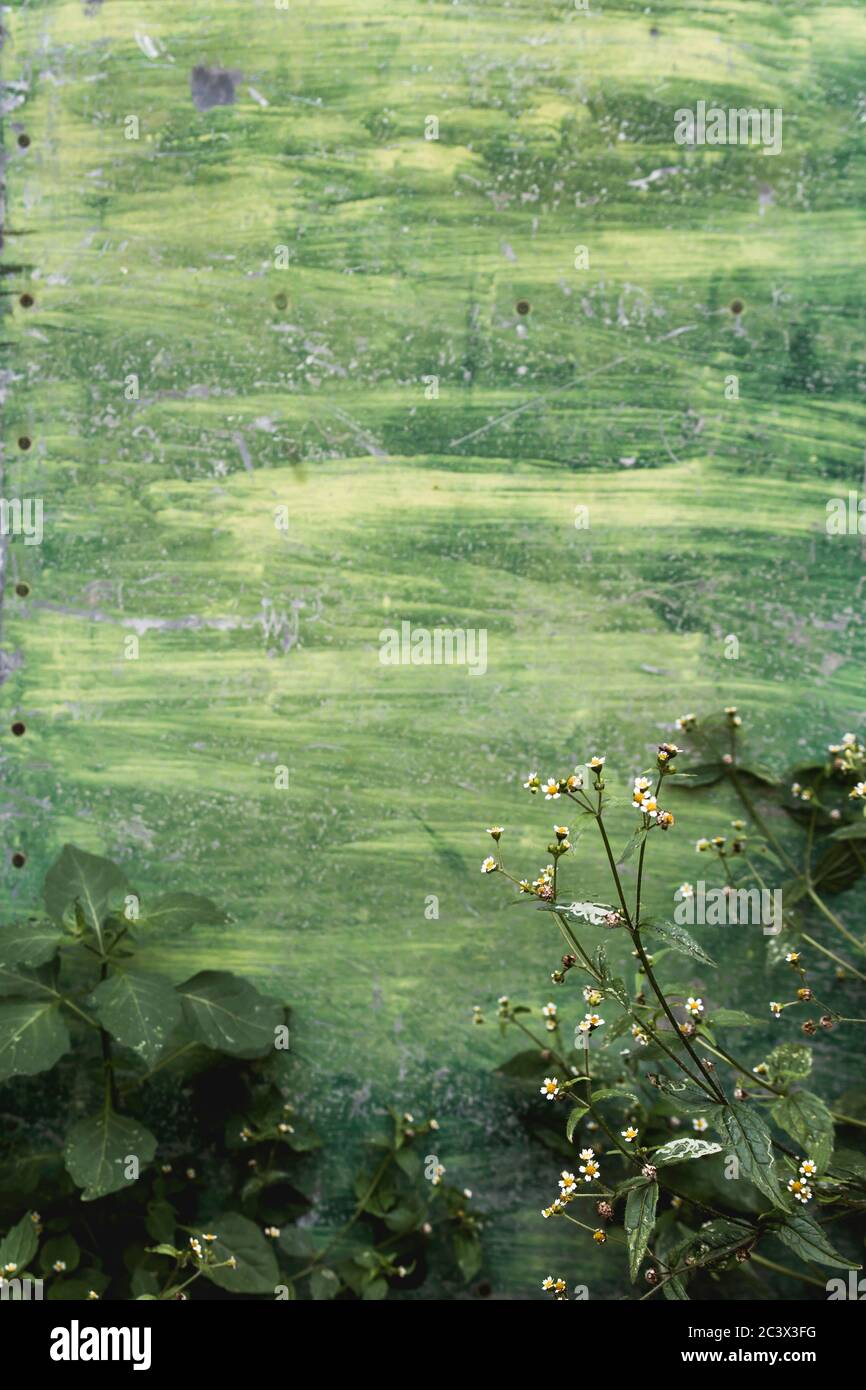 Old green rusty wall Stock Photo - Alamy