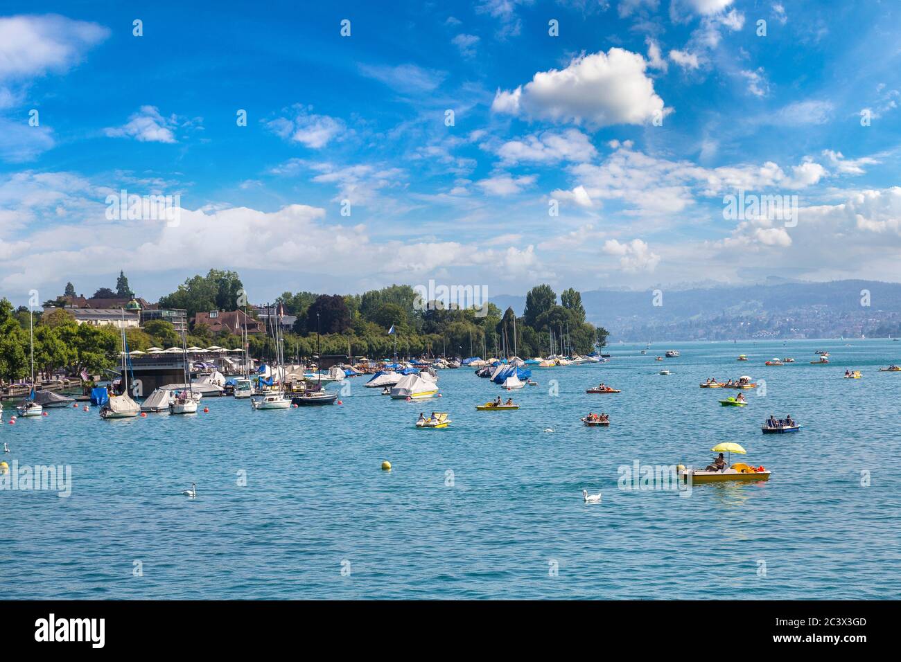 Zurich lake swim hi-res stock photography and images - Alamy
