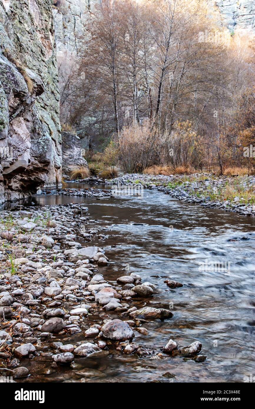West Fork of the Gila River, Gila National Forest, New Mexico USA Stock ...