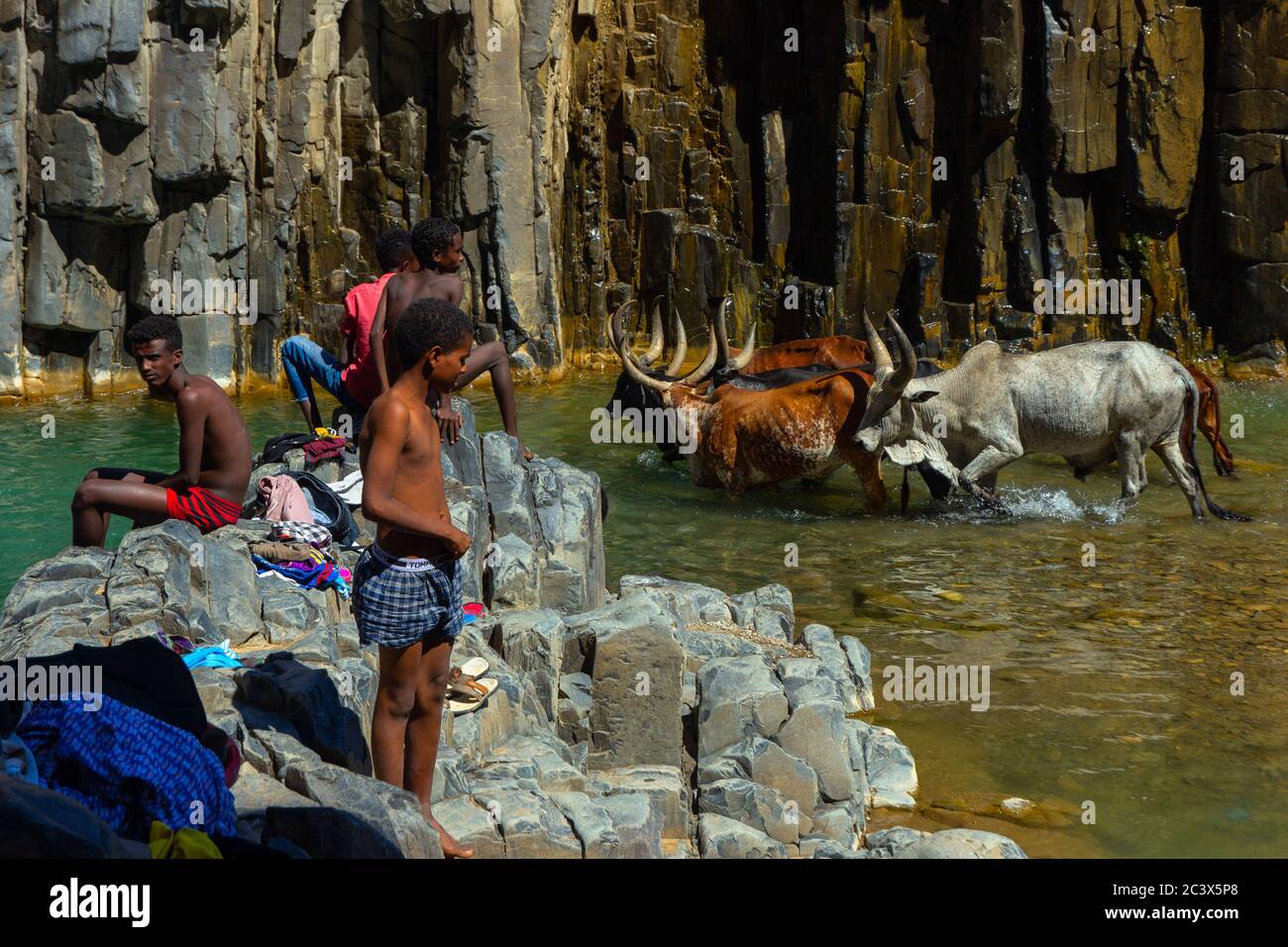 Hamedela, Ethiopia - Nov 2018: Local men swimming in river and cattle ...