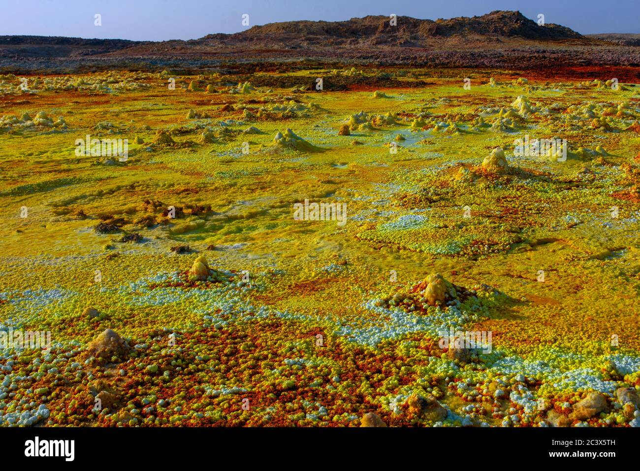 Color ponds close up of surreal Dallol desert landscape, Danakil ...